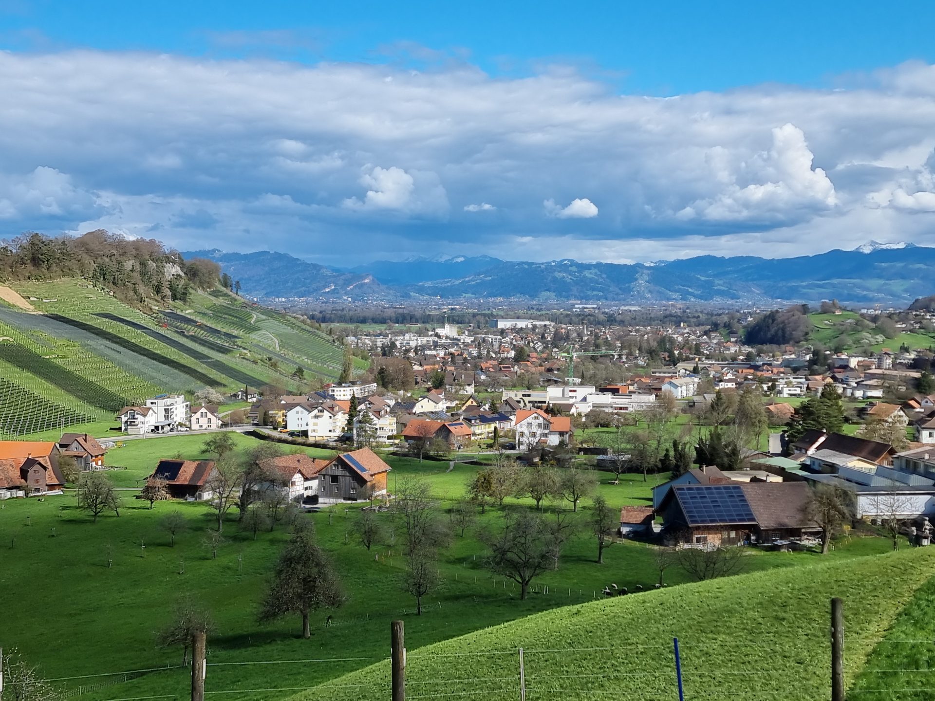Ortsgemeinde Thal - Herzlich Willkommen in unserer Gemeinde